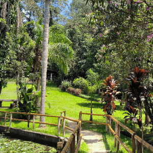 Parque Natural Municipal Fazenda do Carmo - Parque Ecológico